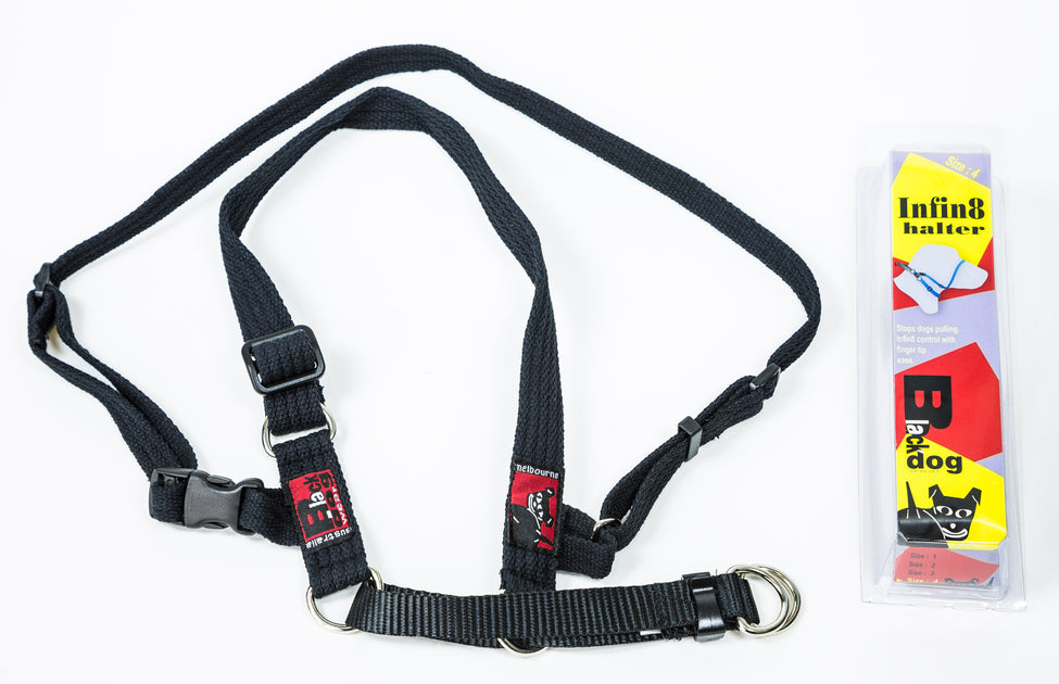 Black Dog Infin8 Halter – Orange Pet Dog Training